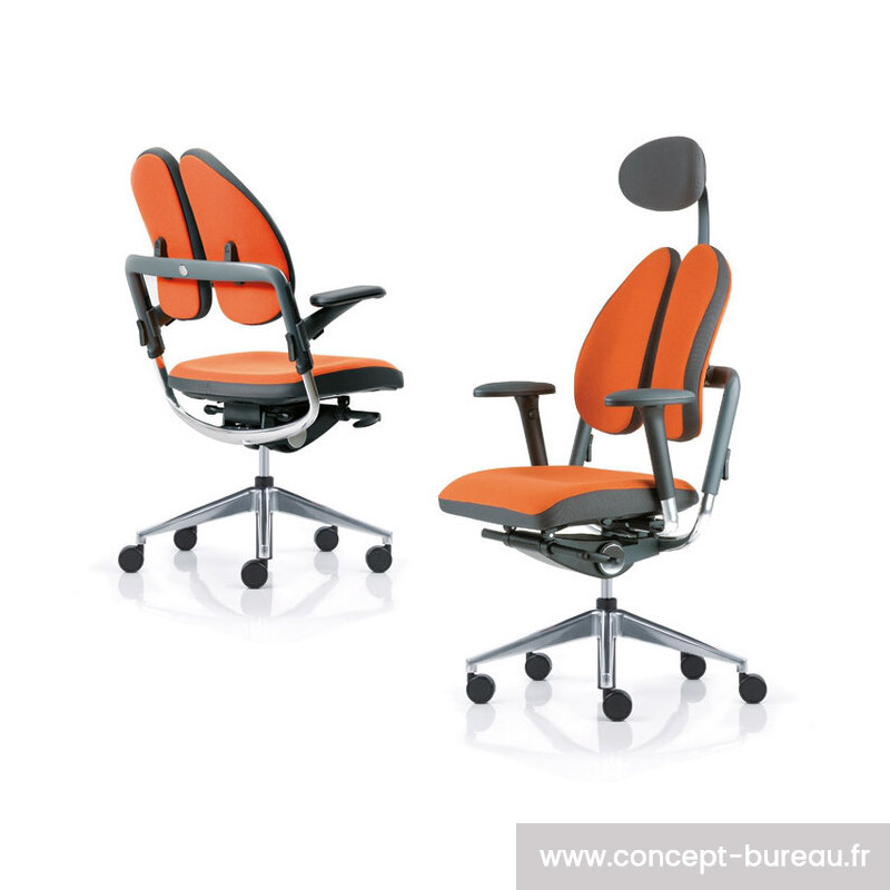 Fauteuil De Bureau Ergonomique Mal De Dos
