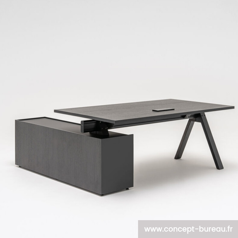 Bureau directeur moderne - VIGA