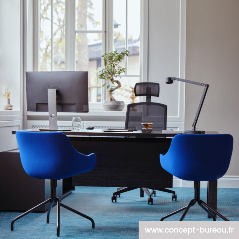 Bureau directeur moderne - VIGA