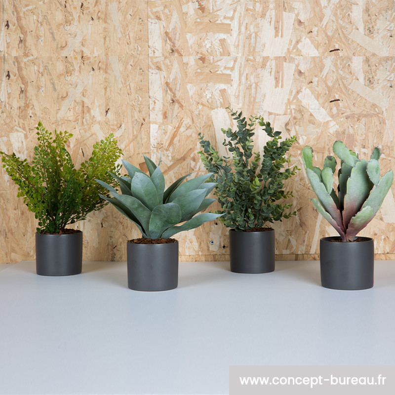 Lot de 4 Mini plantes artificielles - VEGE