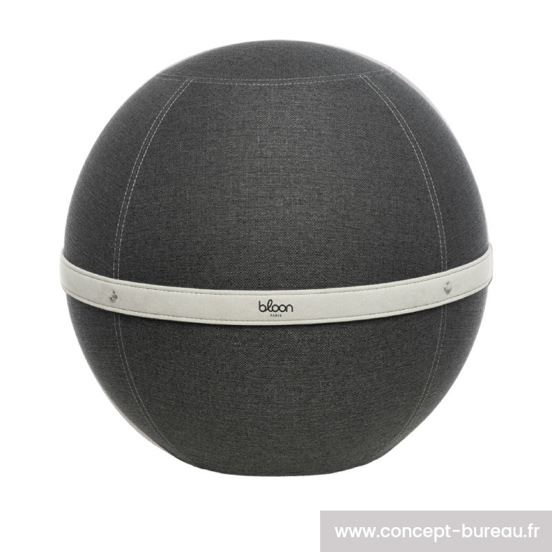 Ballon de travail ergonomique - BLOON