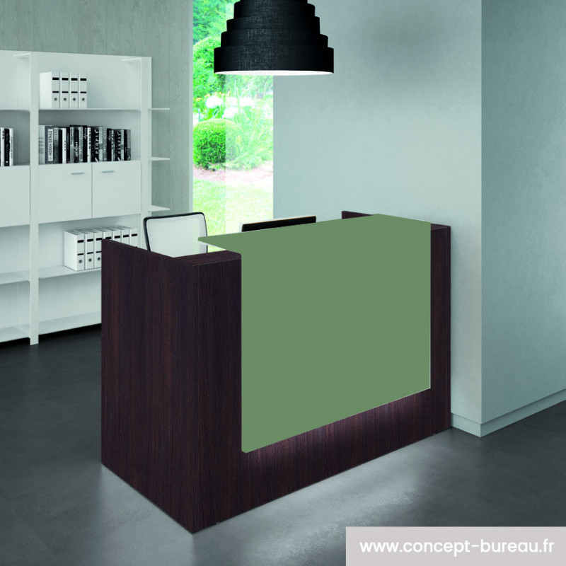 Banque d'accueil design sur mesure - DUCHATEL